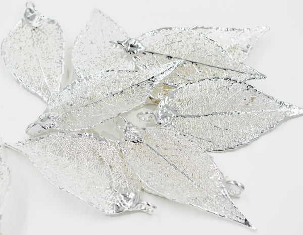 Real Leaf PENDANT EVERGREEN Silver Genuine Leaf – Zhannel